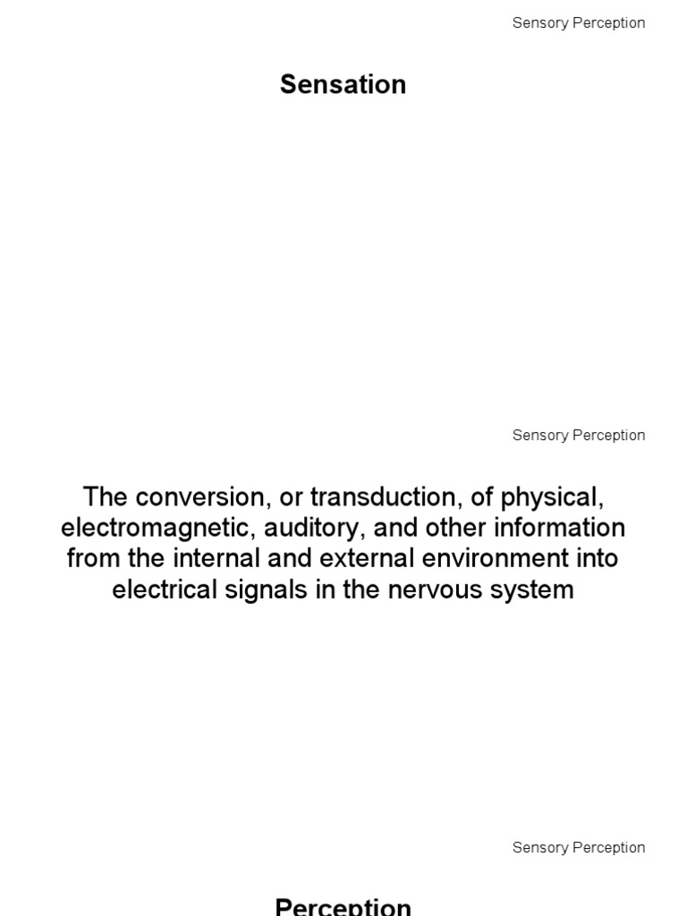 Sensory Perception Flashcards | PDF | Perception | Stimulus (Physiology)