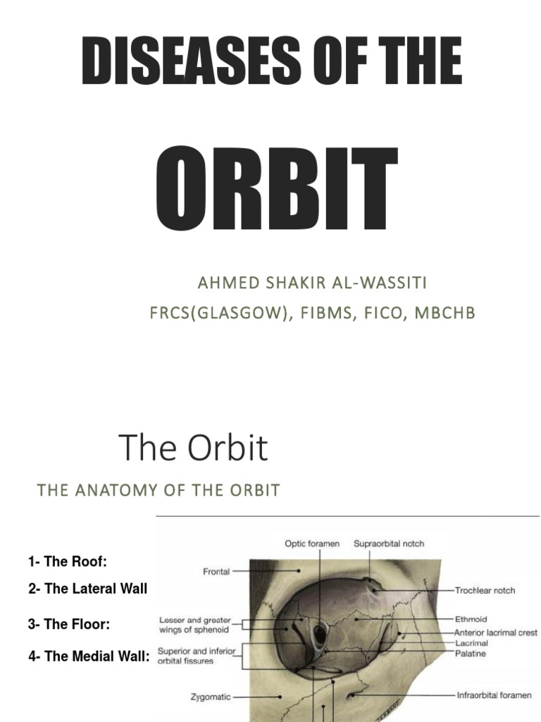 Diseases of the Orbit: A Comprehensive Review of Orbital Anatomy ...