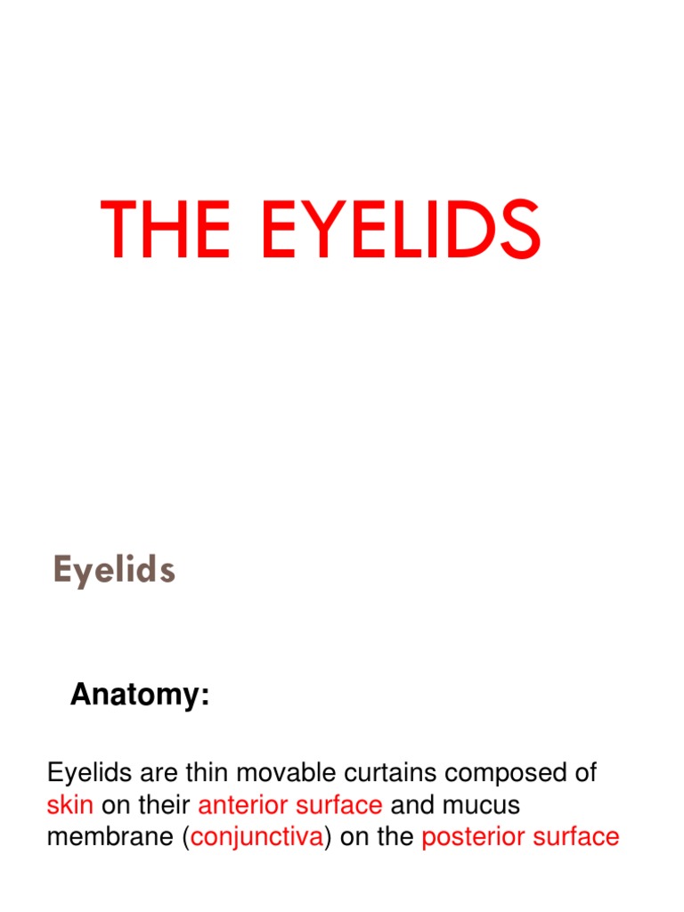 Eyelids Slides PDF | Download Free PDF | Ophthalmology | Diseases And Disorders