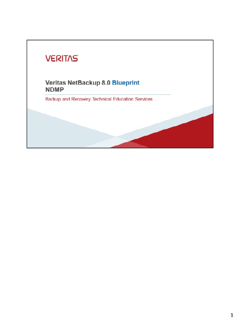 Netbackup 8.0 Blueprint NDMP | Download Free PDF | Backup | Computer Networking