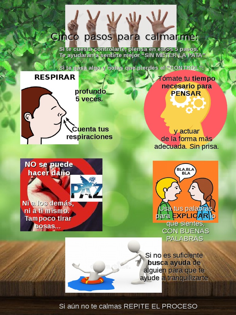 5 Pasos para Calmarse | PDF