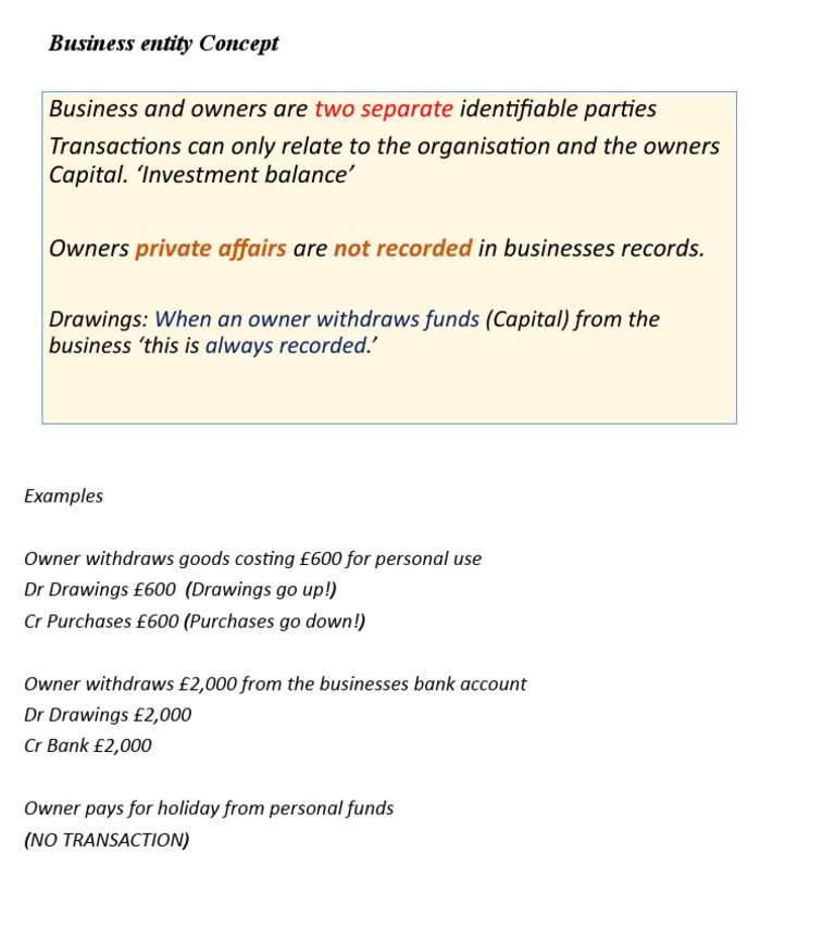 Business Entity Concept | PDF
