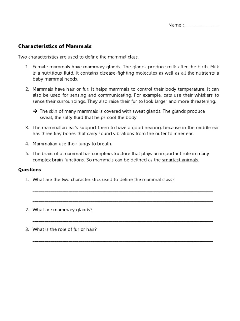 Science Worksheet Grade 3 | PDF