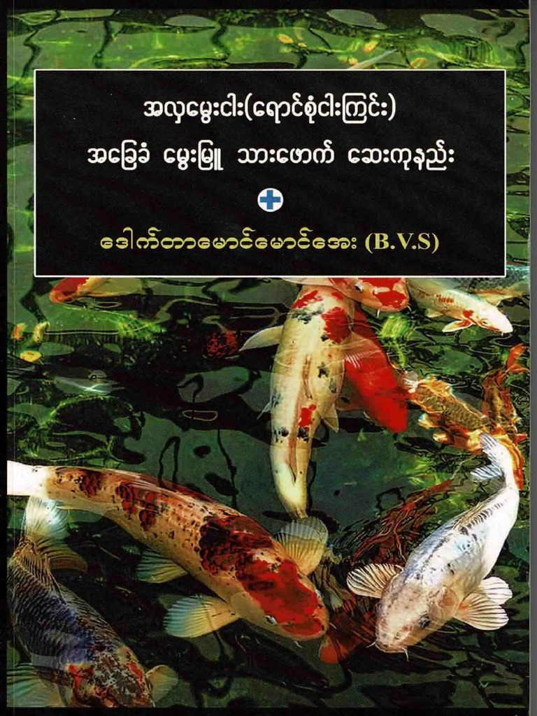 Koi Fish Book Myanmar PDF | PDF