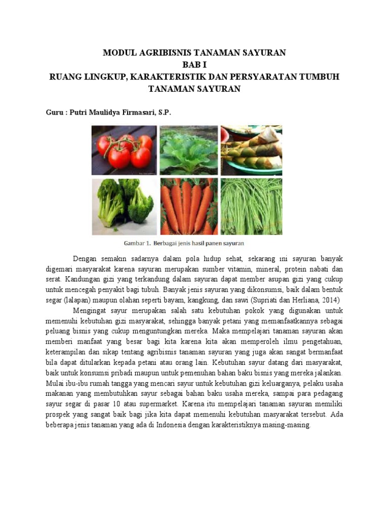 Modul Agribisnis Tanaman Sayuran 1 | PDF | Griya & Taman | Teknologi ...
