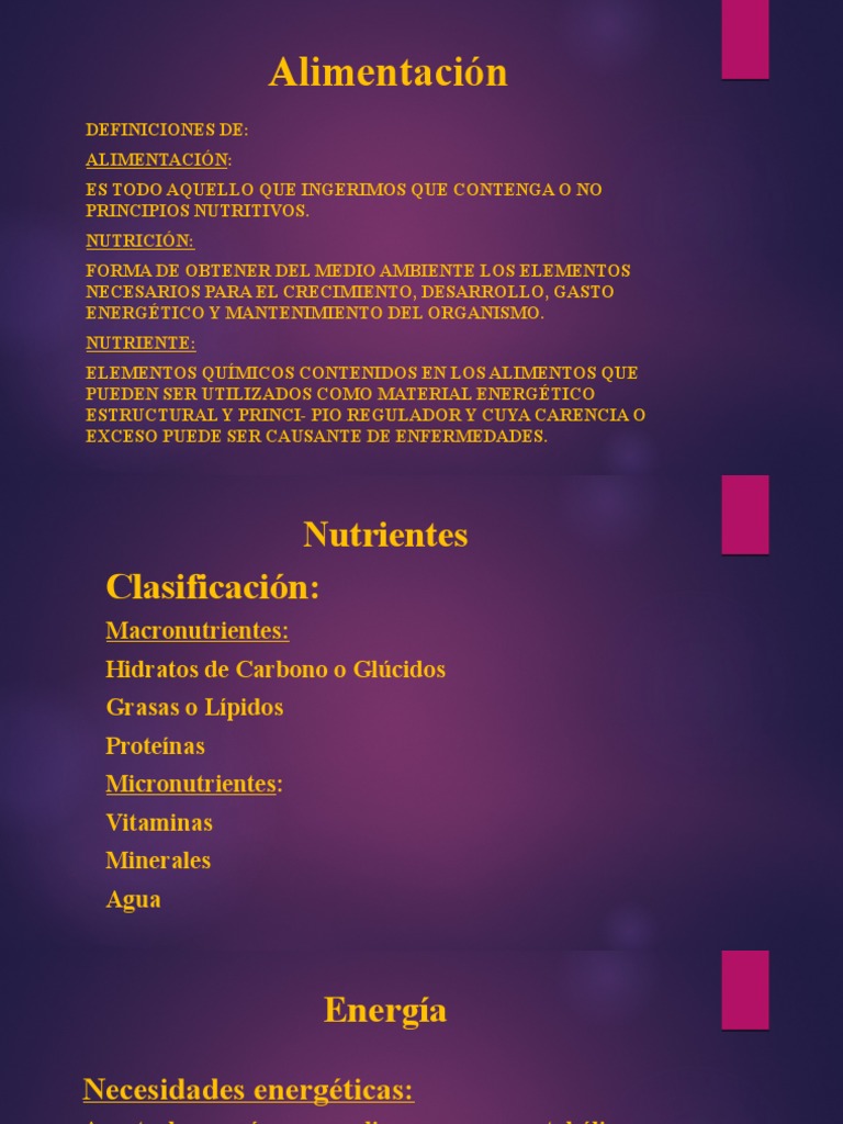 1 Primera Clase Alimentación Pdf Nutrientes Alimentos