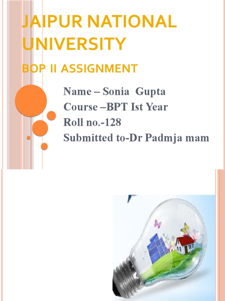 Jaipur National University: BOP II Assignment | PDF