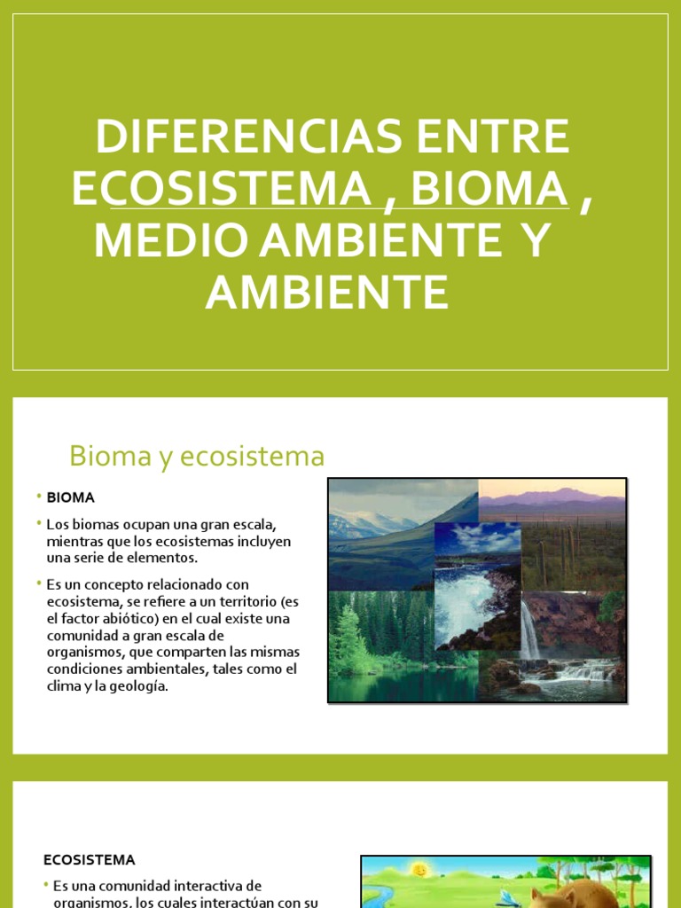 Diferencias Entre Ecosistema, Bioma, Medio Ambiente | PDF