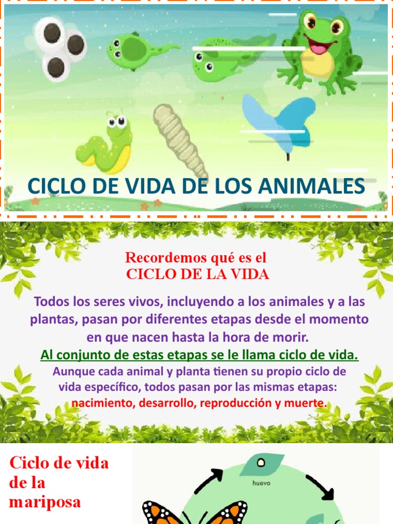 Ciclo de Vida de los Animales para Niños | PDF