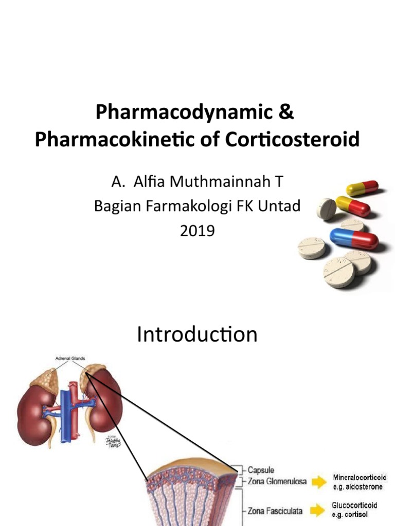 Pharmacodynamic Pharmacokinetic of Corticosteroid | PDF | Glucocorticoid | Cortisol