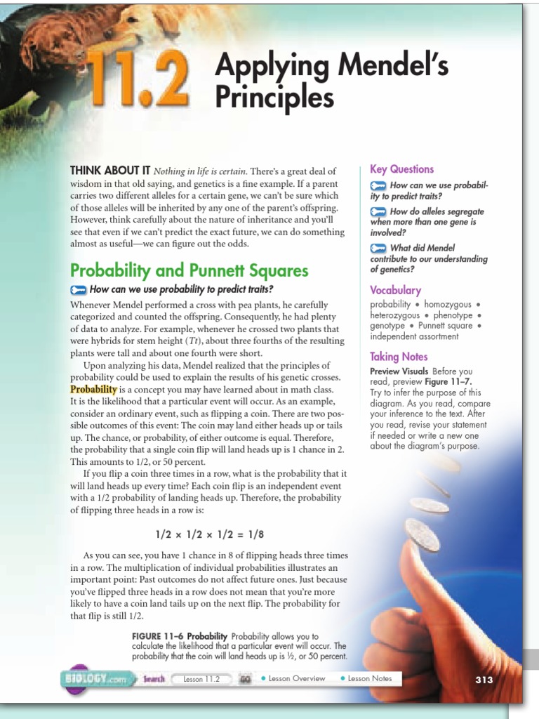 Applying Mendel's Principles: Getting Started | PDF | Zygosity | Genotype