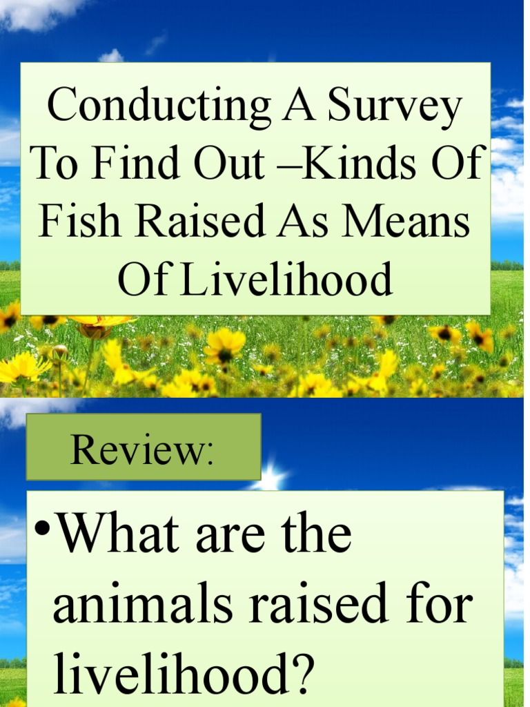 Fish Raising | PDF | Fish | Sea