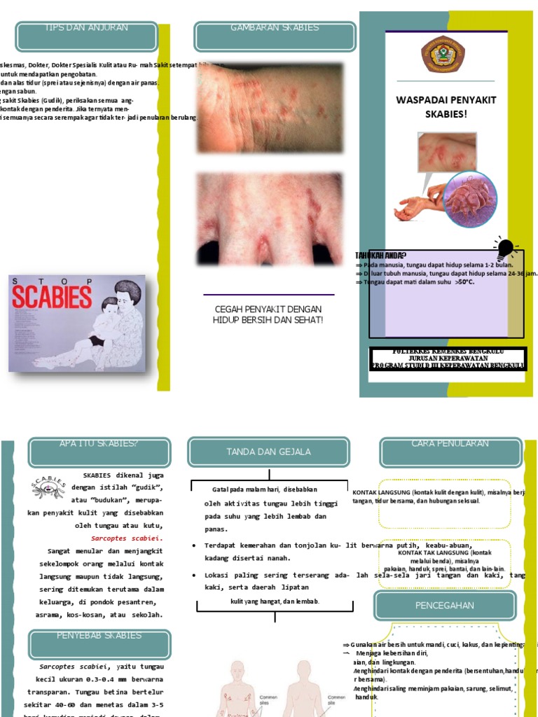 Leaflet Scabies | PDF