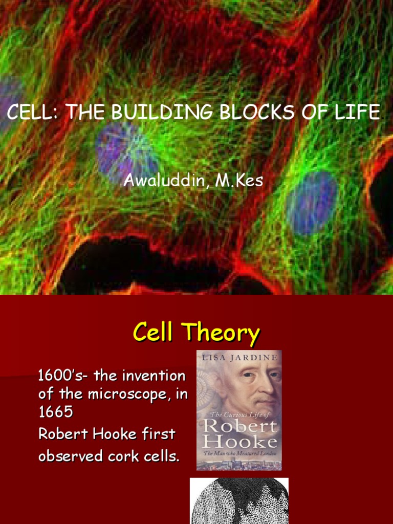 THE BUILDING BLOCKS OF LIFE | PDF | Endoplasmic Reticulum | Cell (Biology)