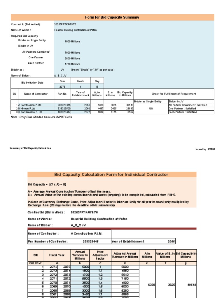 Format Bid Capacity Issued by PPMO Cell PW 321 | PDF | Business | Economies