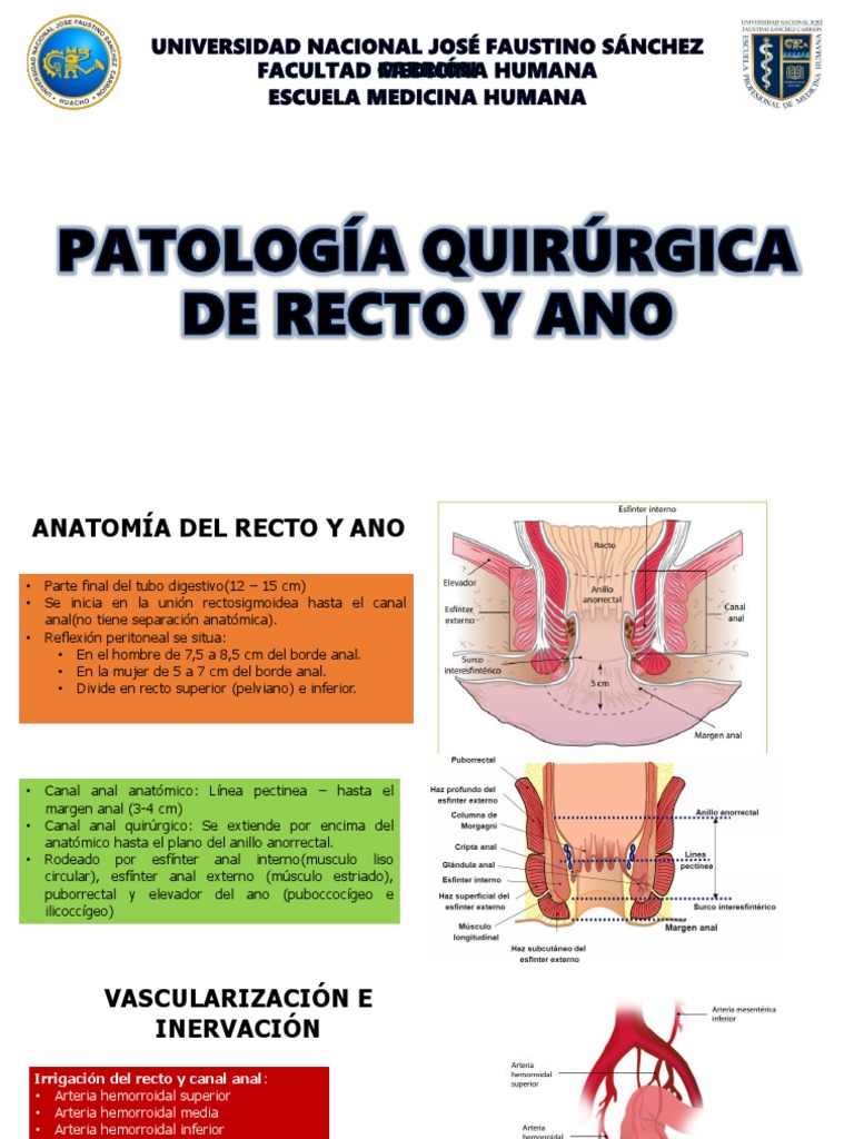Patología Quirúrgica de Recto y Ano | PDF | Hemorroides | Cáncer ...