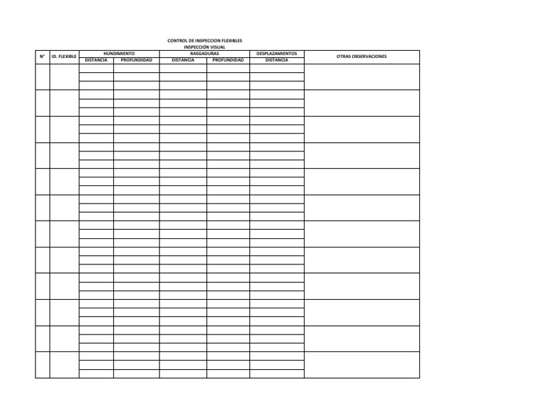 Formato de Inspeccion Visual A Mangueras Flexibles PDF | PDF
