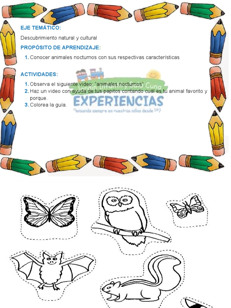 Animales Nocturnos | PDF