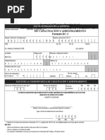 DC1 STPS Formato Word Editable | PDF