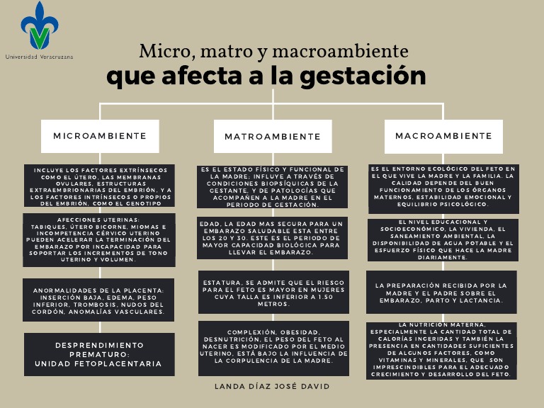 Micro, Matro y Macroambiente PDF | PDF | El embarazo | Embarazo Mamífero