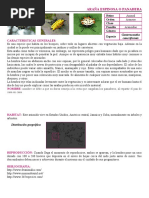 La Fauna de Michoacan | PDF | Mamíferos | Zoología