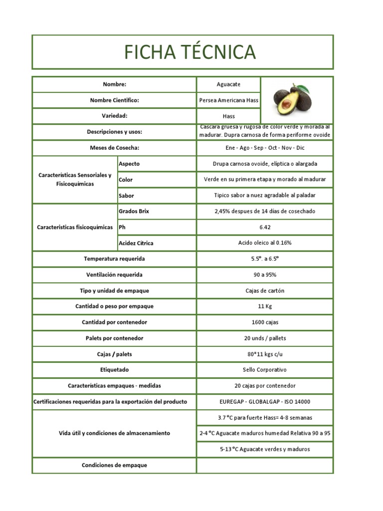 Formato Ficha Técnica Producto | PDF | Aguacate | Alimentos