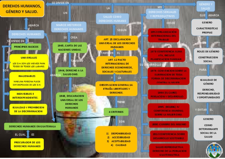 Mapa Conceptual | PDF | Igualdad de género | Estudios de género