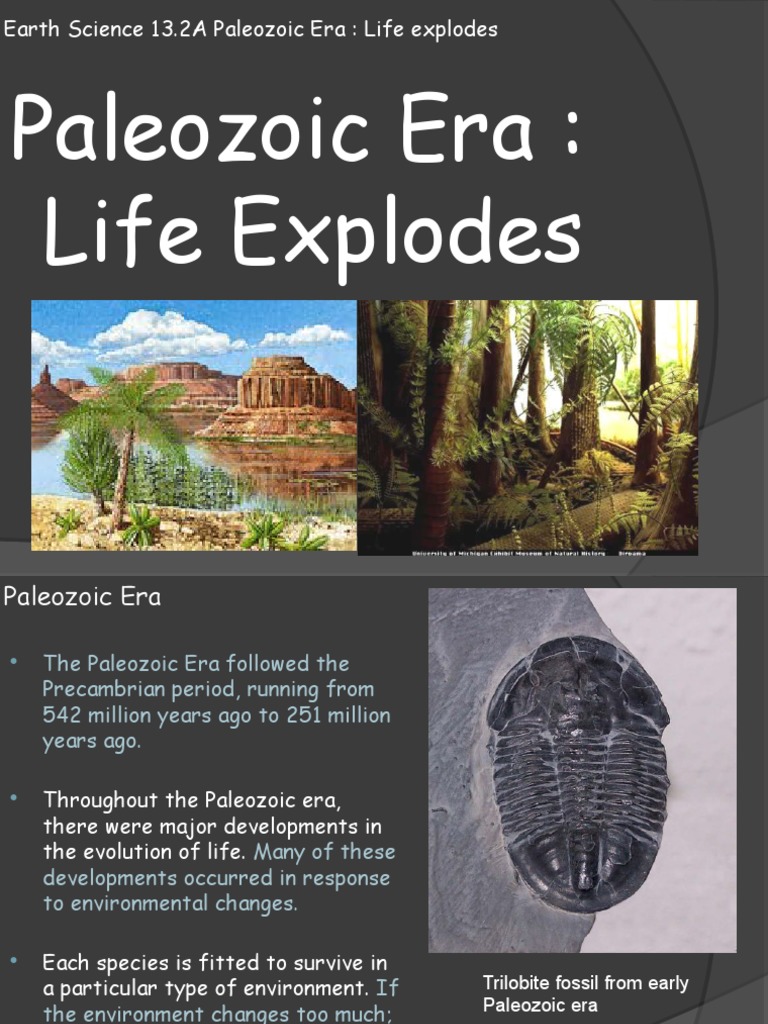 Paleozoic Era | PDF | Earth Sciences | Geology