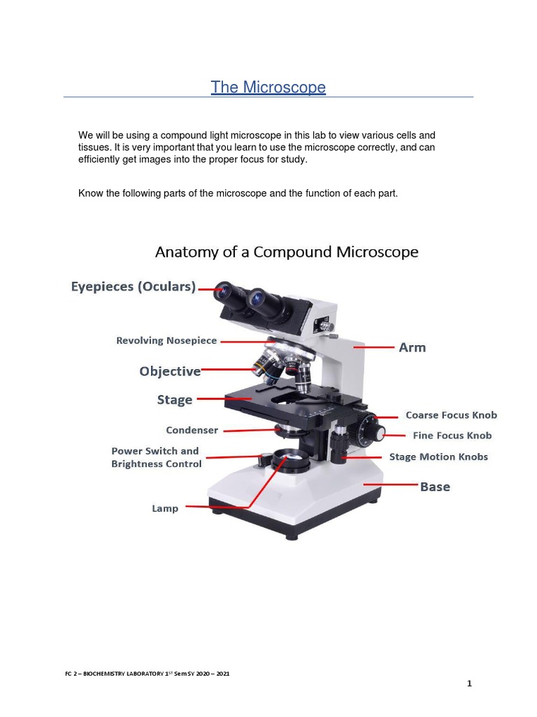 The Microscope PDF | Download Free PDF | Glass Engineering And Science ...