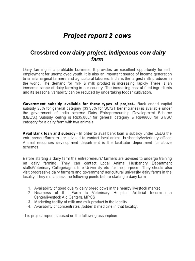 2-Cow Dairy Farm Project Report | PDF | Dairy Cattle | Dairy Farming