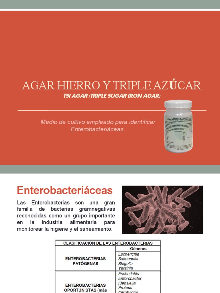 Triple Sugar Iron Agar (TSI Agar) | PDF