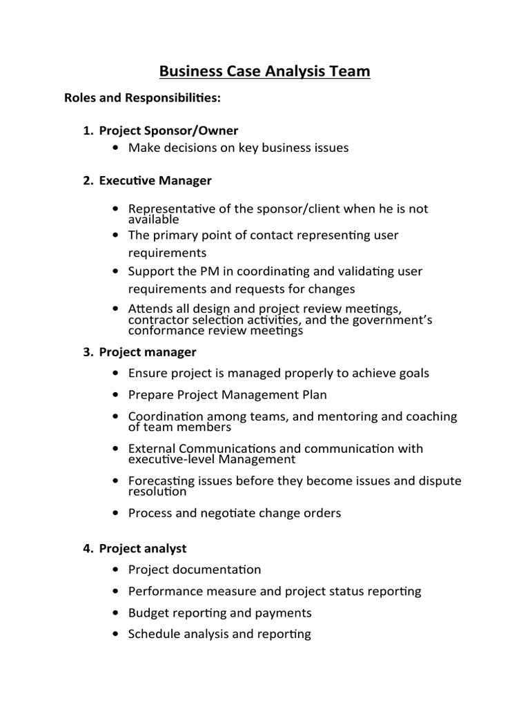 Business Case Analysis Team Roles | PDF | Government | Business