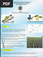 Índice de Simpson: Fórmula y Ejemplos | PDF | Biodiversidad | Habitat