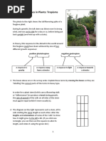 PLANT HORMONES Life Science Grade 12 | PDF | Plant Hormone | Auxin