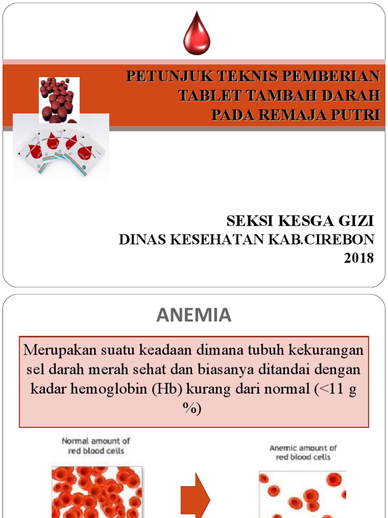 Juknis Dan RR TTD Rematri | PDF