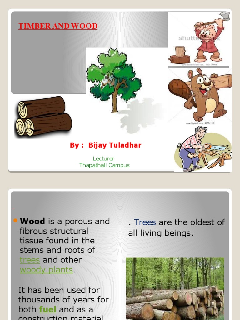 Timber vs. Wood: Key Differences and Uses | PDF | Wood | Wood Veneer