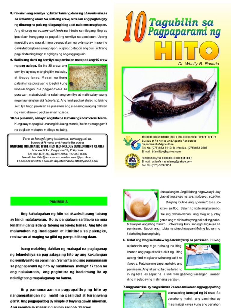 Tagubilin Sa Pagpaparami NG Hito | PDF