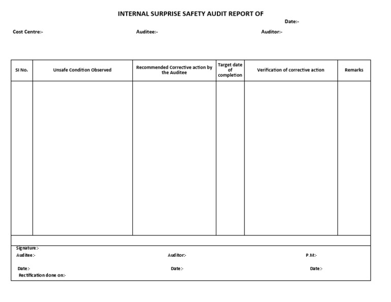 Internal Surprise Safety Audit Report of | PDF