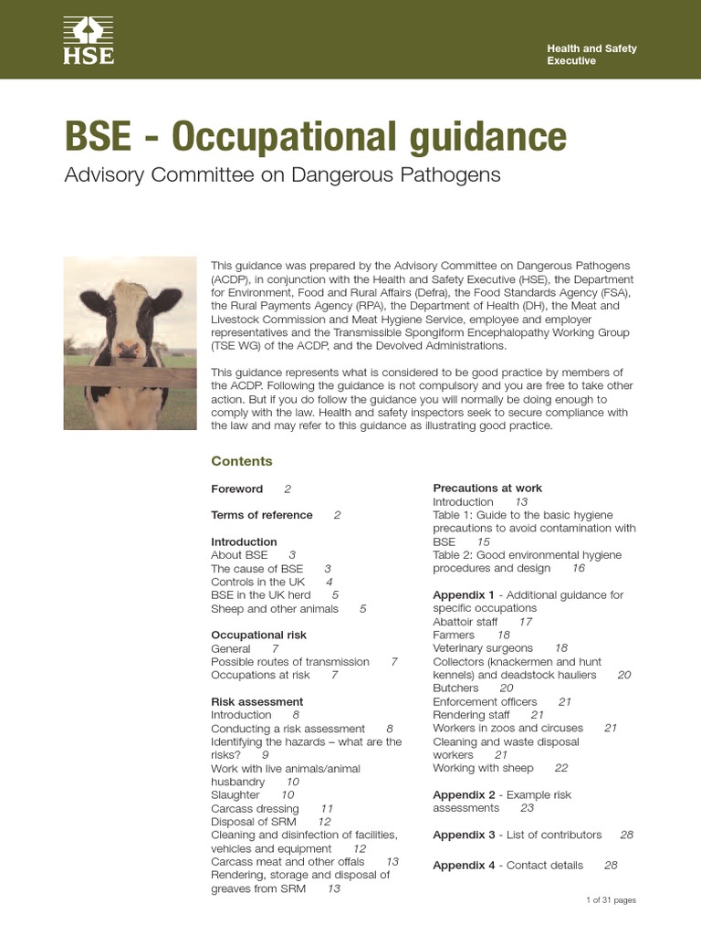 BSE Occupational Guidance: Advisory Committee On Dangerous Pathogens ...