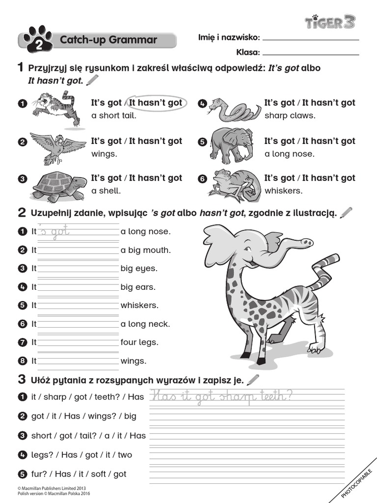 Tiger 3 TRF Unit 2 Catch-Up Grammar | PDF