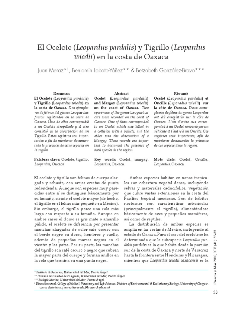 Ocelote y Tigrillo en Oaxaca | PDF | Organismos | Naturaleza