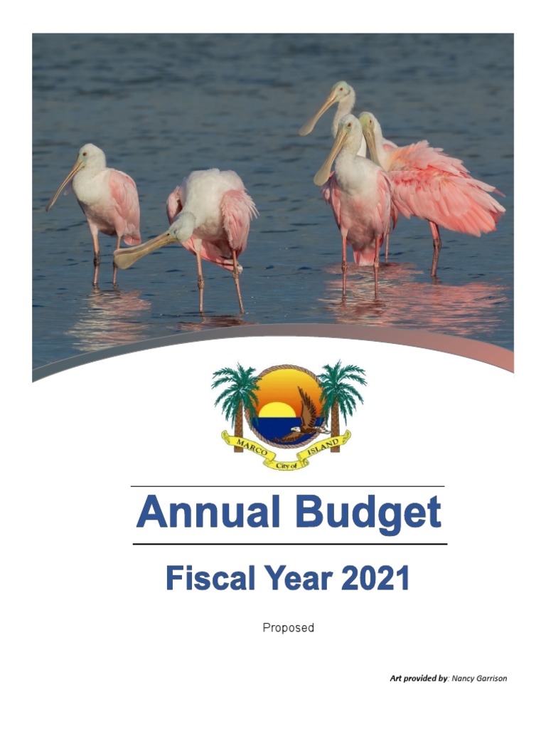 City of Marco Island FY2020-21 Tentative Budget Book | PDF | Fund Accounting | Property Tax