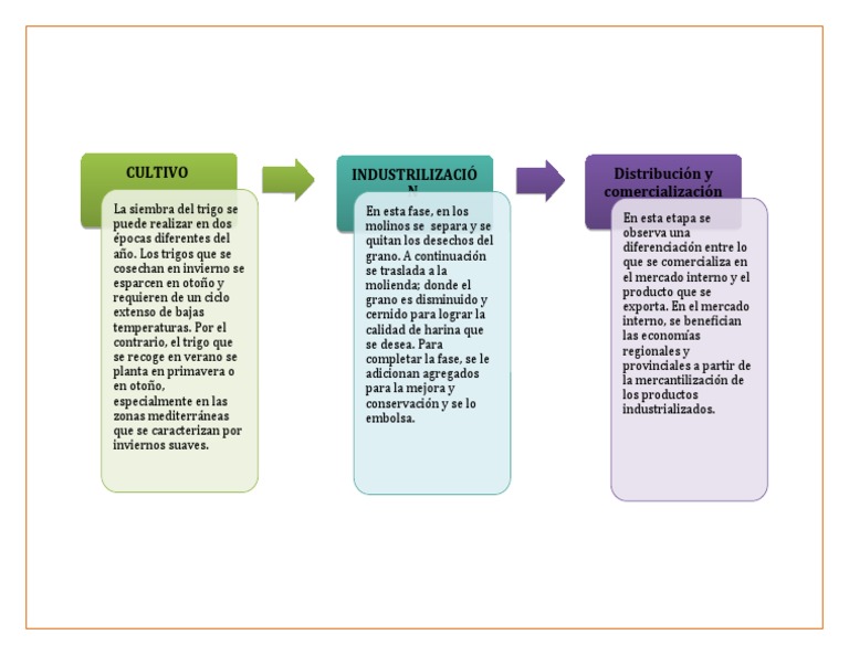 Proceso de cultivo, industrialización y distribución del trigo | PDF