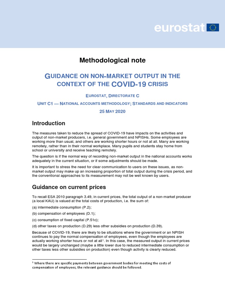 Non-Market Output Guidance | PDF | Gross Domestic Product | Output ...