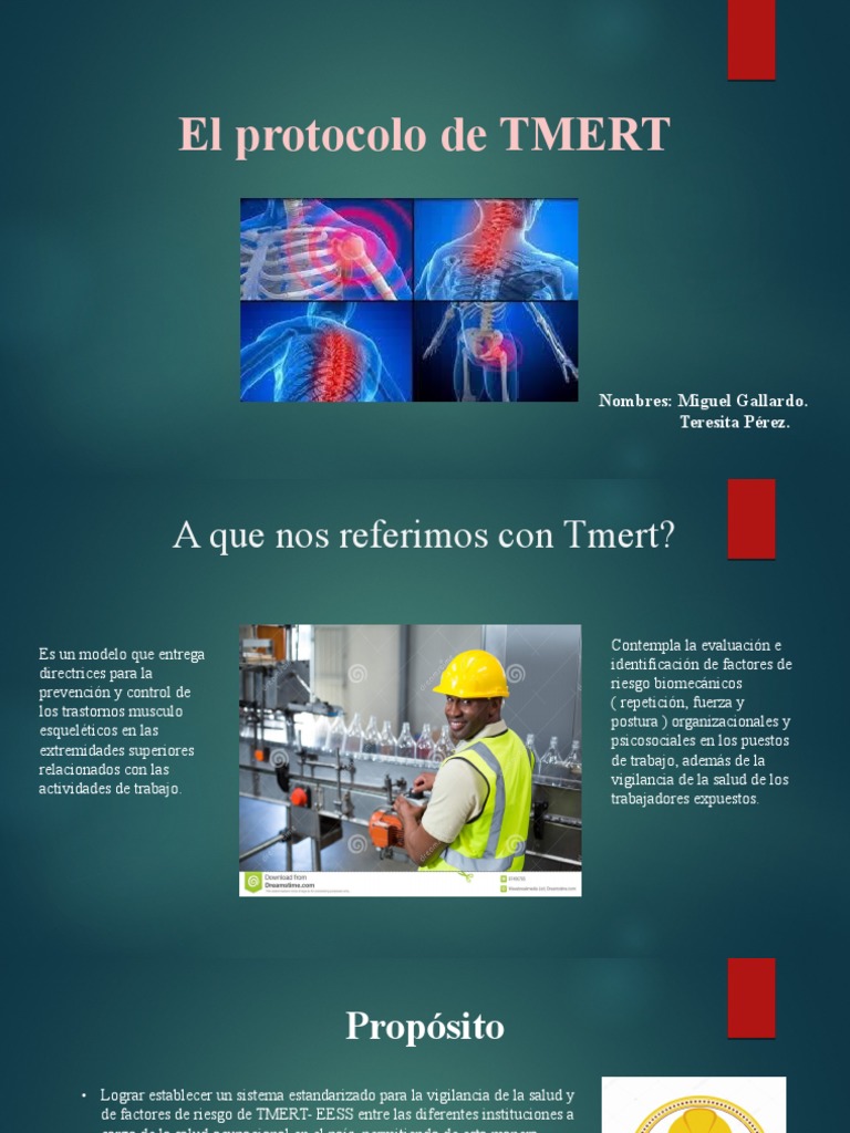 Protocolo de TMERT | PDF | Seguridad y salud ocupacional | Evaluación