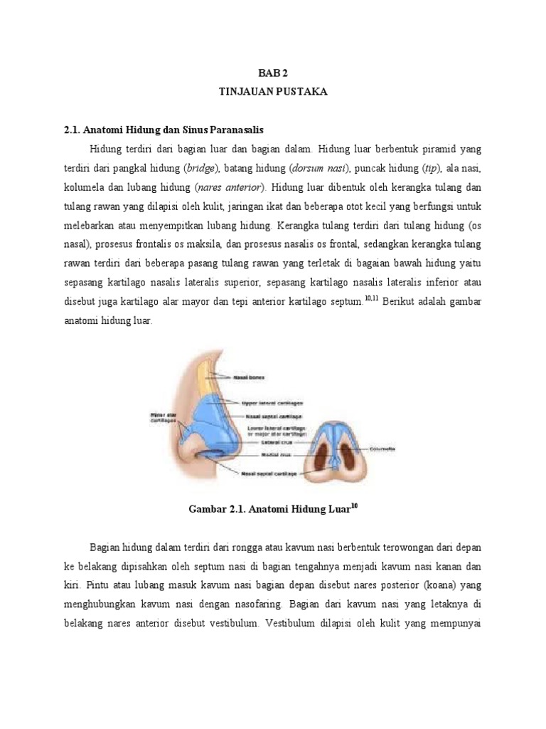 Polip Nasi THT | PDF