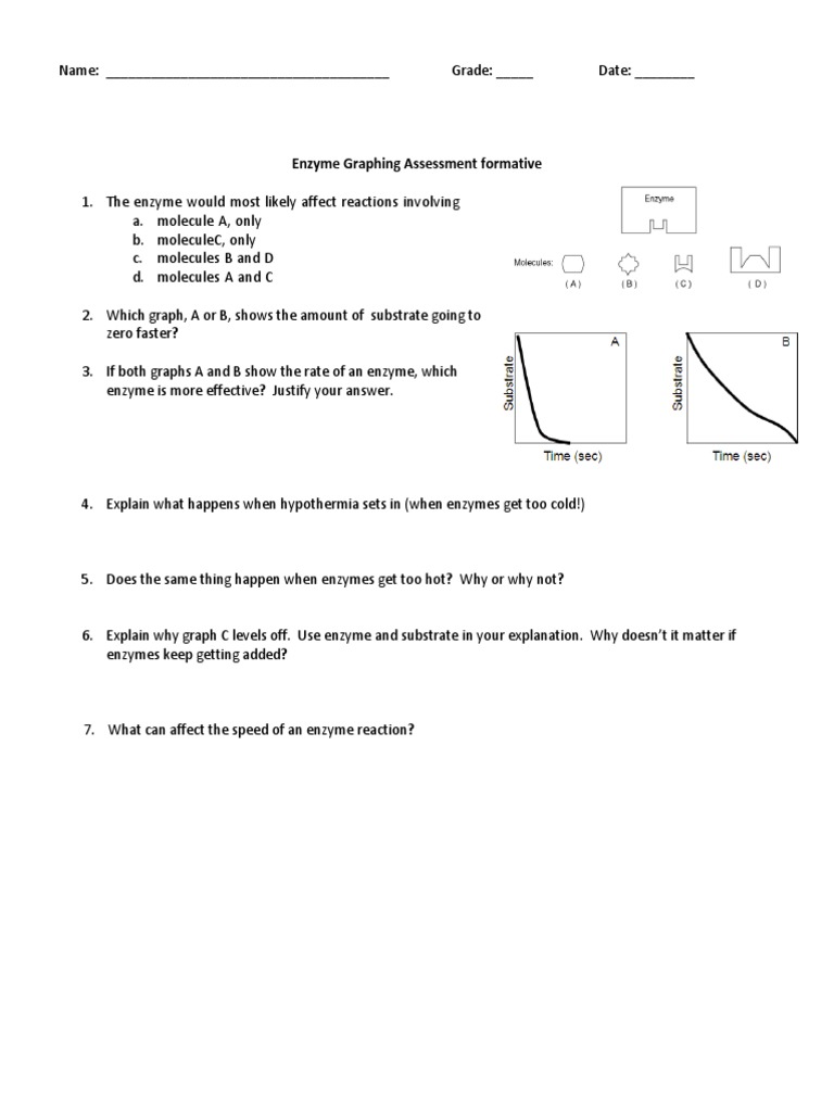 Enzyme Graphing Worksheet Formative | PDF