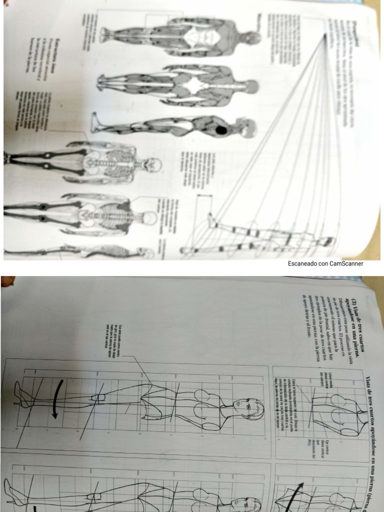 Diseño de Moda Zeshu Takamura PDF | PDF