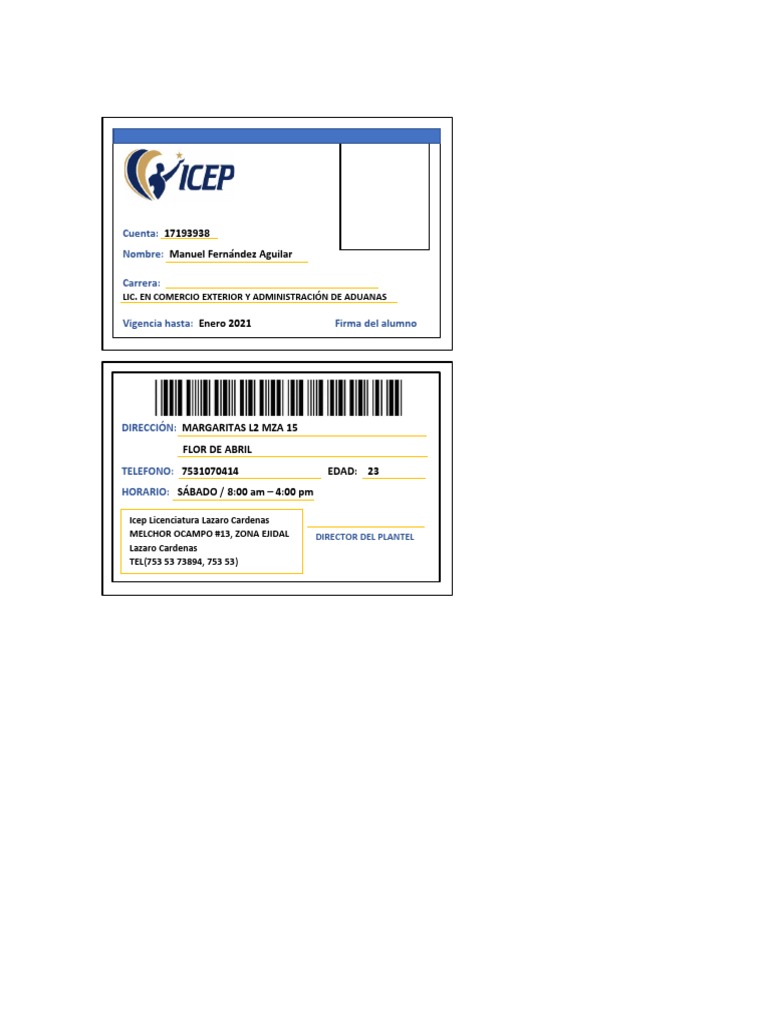 Credencial Icep | PDF