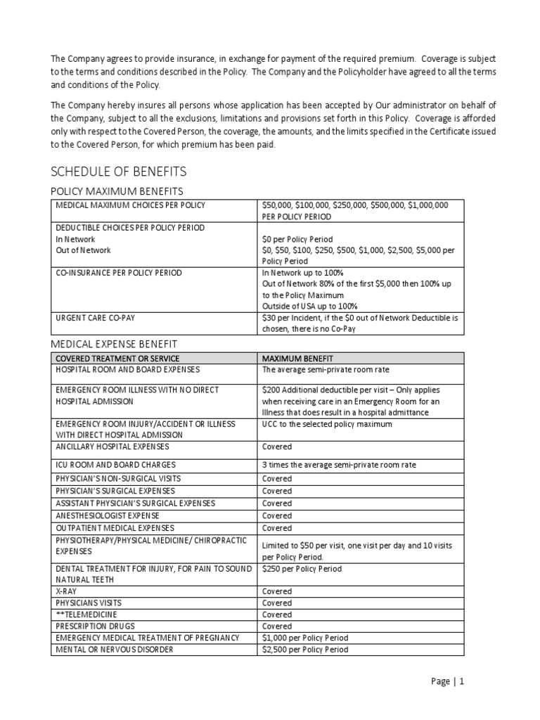 Safe Travels Usa Cost Saver Insurance Policy Document | PDF ...
